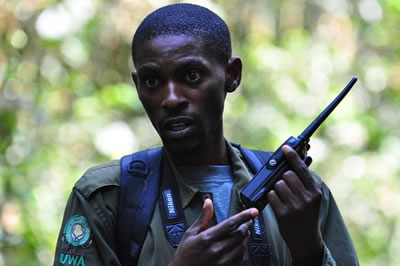 From Kibale to Ishasha